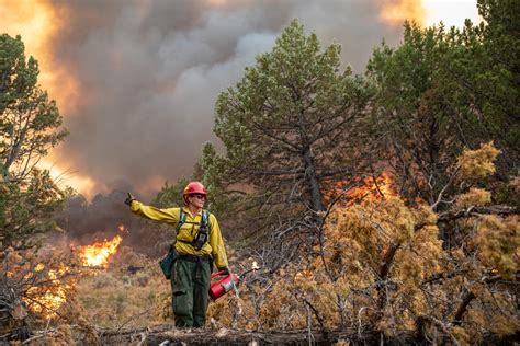 California Sees Significant Drop In Recent Wildfire Activity Scot