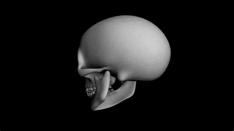 Spinning Skull Youtube