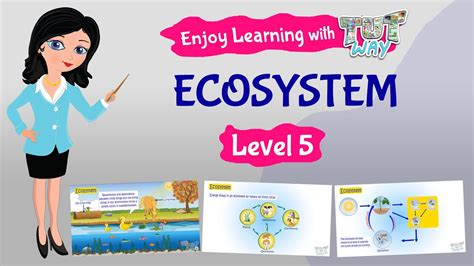 Ecosystem Science Grade 45 Tutway Youtube