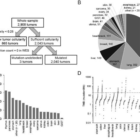 Sample Classification And Tumor Mutation Burden Tmb A All Samples Download Scientific
