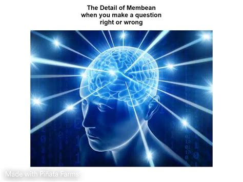Galaxy Brain Memes Piñata Farms The Best Meme Generator And Meme