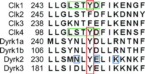 a structure based sequence alignment indicating similarities and