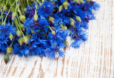 Premium Photo Blue Cornflowers On A Old White Wooden Background