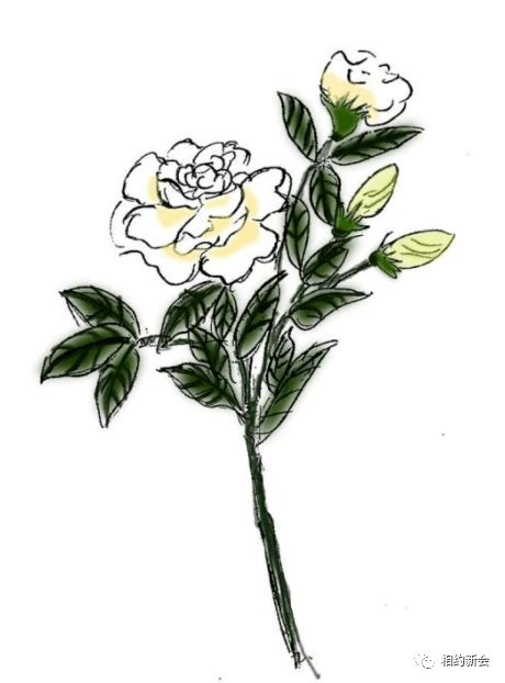 清明祭奠请为新会这些英烈献花 明时