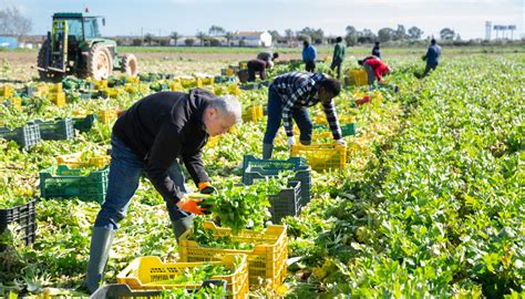 El Impulso De La Inmigración Negocios E Inversiones