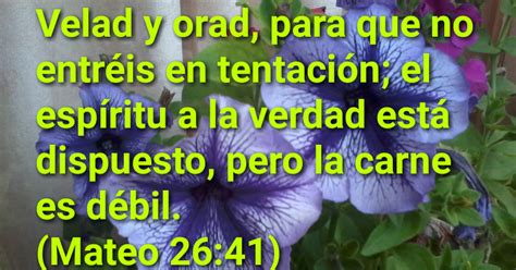 Dios Da Palabra Velad Y Orad