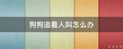 狗狗追着人叫怎么办 业百科