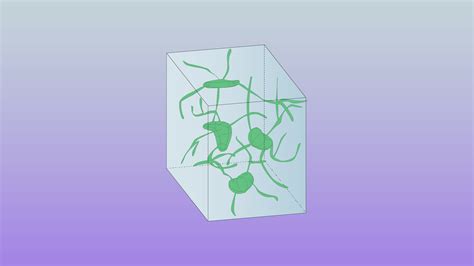 Connectomics Imaging Large Data In Limited Time