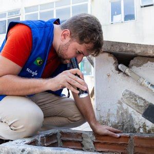 19 óbitos este ano em Alagoas Sesau orienta como evitar criadouros