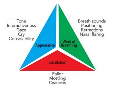 The Pediatric Assessment Triangle An Essential Tool In Emergency Care