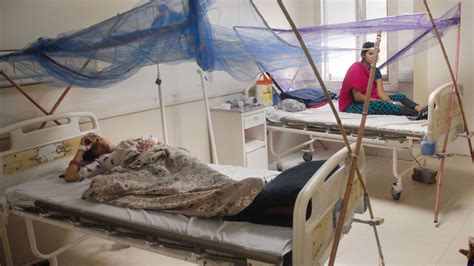 Dengue Is Spreading Rapidly In Delhi Hospitals Are Converting Corona