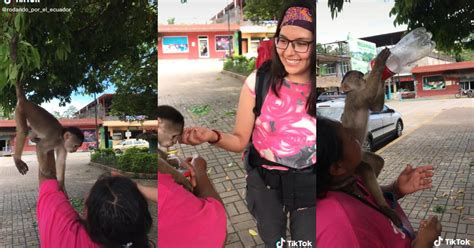 Tiktok Viral Turistas Quedan Encantadas Con Un Monito Y Este Intenta
