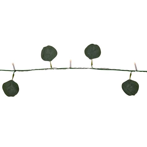 Eucalyptus Curtain Lights 5