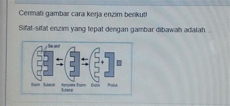 Cermati Gambar Cara Kerja Enzim Berikut Sifat Si