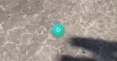 Flare Station Running Issue Known As “licking The Top” Too Much O2