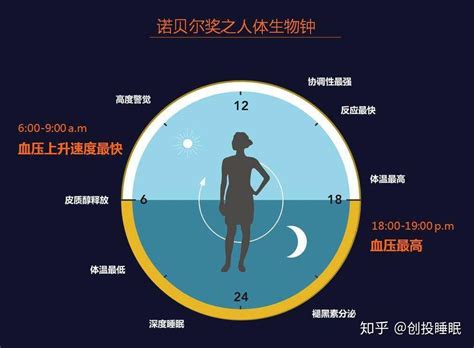 身体在长期黑白颠倒的情况下你的身体会怎样 知乎