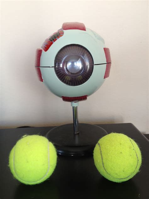 Wills Self Healing Blog Convergence Eye Exercise That Improve