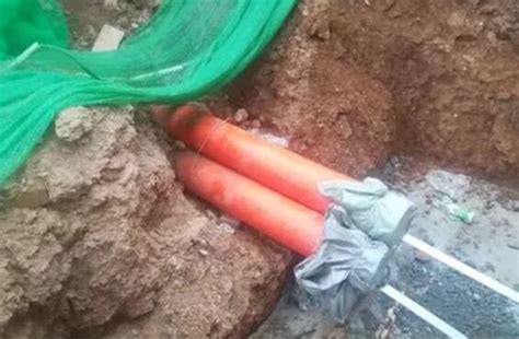 行业新闻 上海闵行市政工程园林绿化建筑劳务 闵思建设