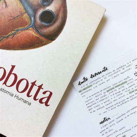 Study Studynotes Estudos