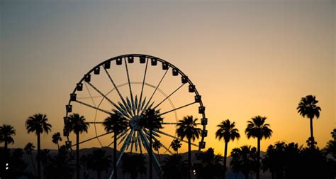 Coachella Postponed Ultra Music Festival Canceled—whats Next
