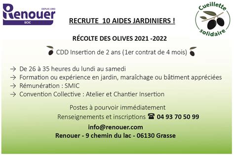 ème année de récolte des olives chez RENOUER Renouer