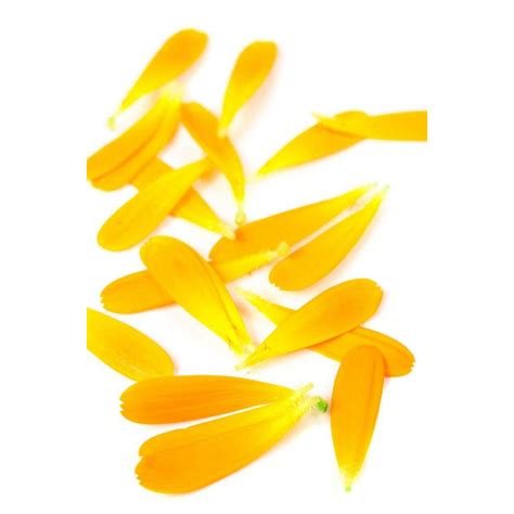Greenfield Sicilian Citrus Mix of Exotic Flavors 20 x 2 g