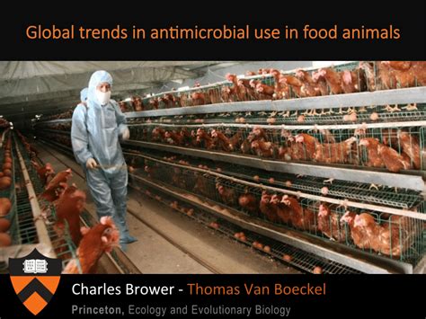 Pdf Global Trends In Antimicrobial Use In Food Animals