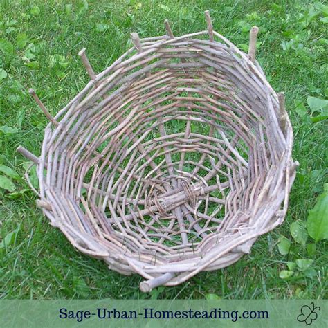Basket Making