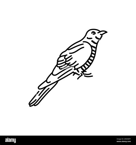 Cuckoo Bird Black Line Icon Pictogram For Web Page Mobile App Promo