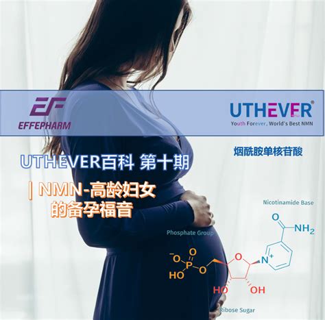 Nmn 高龄妇女的备孕福音 Uthever Nmn
