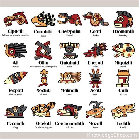 Aztec Symbols 🥷 Knowledge Ninja