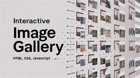 Create A Stunning Image Gallery Using Html Css And Javascript
