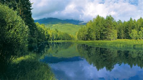 1920x1080 Water Summer Grass River Trees Surface Forest Shore