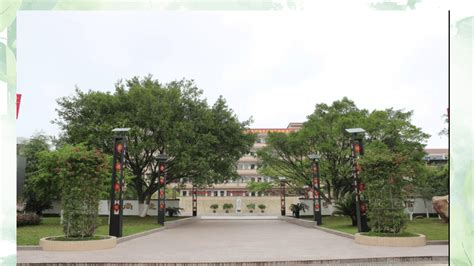 地理 高中地理中图版2019必修1 27植被与自然环境的关系课件共26张ppt 课件下载预览 二一课件通