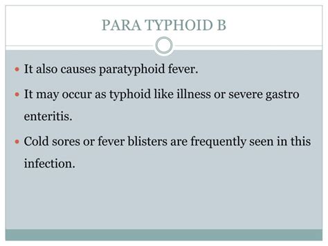 14 Salmonella Typhi Ppt
