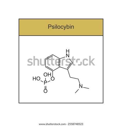 Psilocybin Skeletal Structure Diagrampsychedelic Compound Molecule Stock Vector Royalty Free