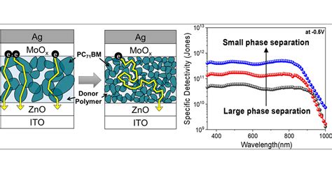 Unraveling The Origin Of Dark Current In Organic Bulk Heterojunction