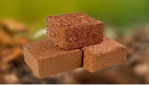 Chithu Coco Peat Blocks For Plant Growth Size 5kg At Rs 100 Kg In