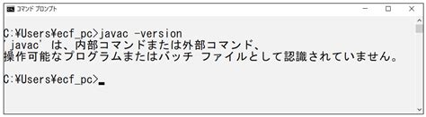 Javaプログラミング入門 0章【javaプログラミングを始めよう】 Ecf Tech