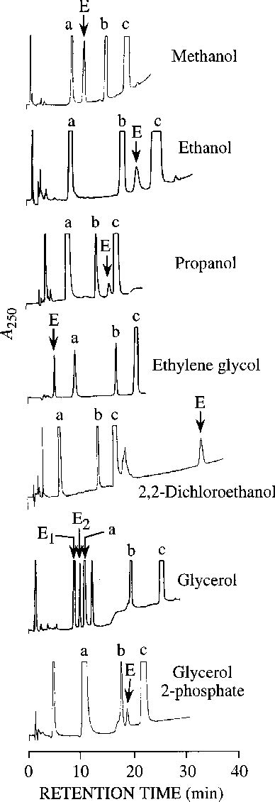 Figure 1 From Rat Liver Nucleotide Pyrophosphatase Phosphodiesterase Is