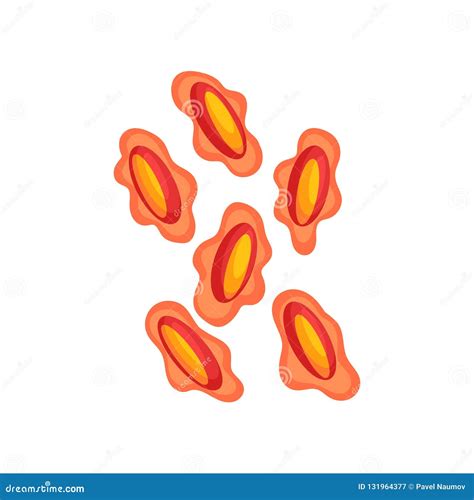 Variola Virus Under Microscope Dangerous Microorganism Microbiology