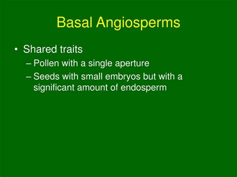 Ppt Angiosperms Powerpoint Presentation Free Download Id 5518425