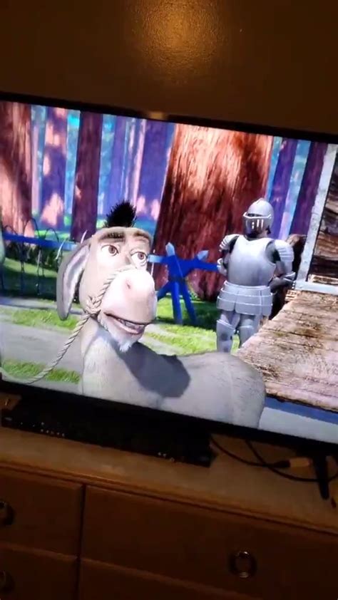 The Three Bears From Shrek Ranythingevrything