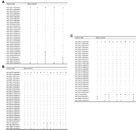 Alignment Of The Four Identified Minimal Linear Peptide Epitopes With