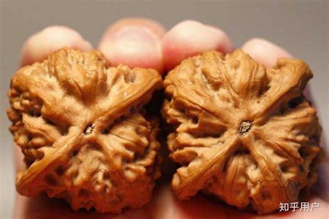 文玩核桃门墩，将军膀，水龙纹，野狼哪个好 知乎