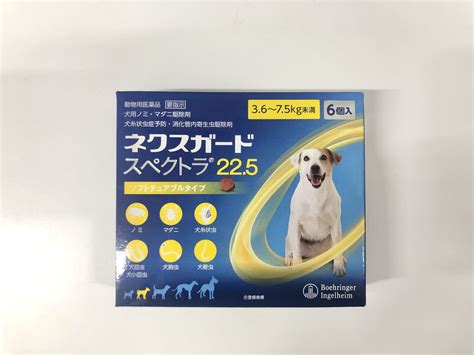 フィラリア 予防 薬 副作用 時間