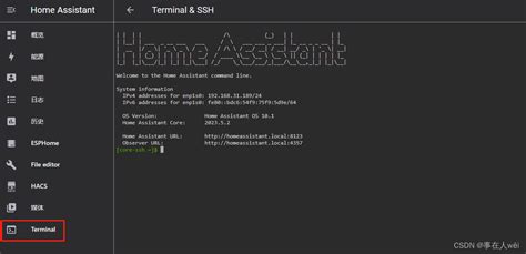Home Assistant使用指令手动安装hacshacswget Q O Csdn博客