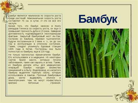 Рассказ про растение Рассказ про любое растение 3 класс