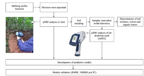 Workflow Of The Procedures Conducted In This Study Download Scientific Diagram
