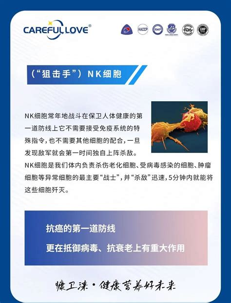 免疫细胞种类与功能介绍